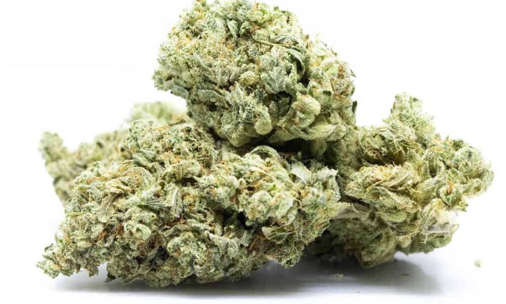 The Art of MaryJane Media - Marijuana Legalization & Cannabis News