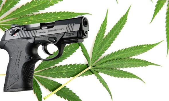 The Art of MaryJane Media - Marijuana Legalization & Cannabis News